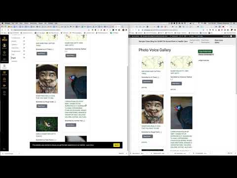Canvas and WordPress iFrame Integration