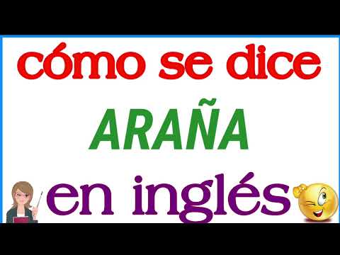 Cómo se dice Arana en inglés | Significado de Arana | Cómo se escribe Arana