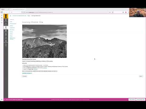 CTE 4200 Summer Term Module 10 Introduction