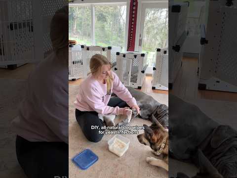 DIY, all-natural dog wipes for yeast infections — red, itchy paws/skin or yeasty ears 🐶🤍🐾