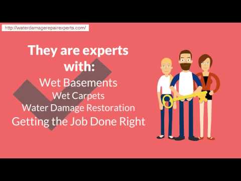 chicago wet Bsement Damage Repair (312) 646-4460