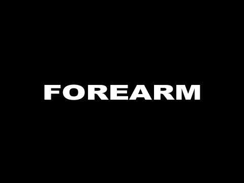 Definition of Forearm