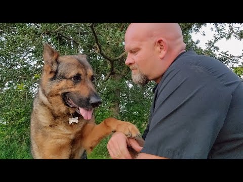 Saying Goodbye To Opie // Thank You