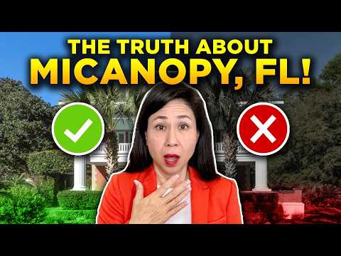 Top 10 Things You Need to Know About Micanopy Florida | Living in Micanopy