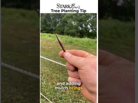 Before you plant a fruit tree…. #gardening #homestead #nature #fruittrees #orchard #shorts