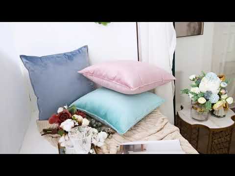 MIULEE Pack of 2 Decorative Velvet Throw Pillow Cover Soft Pillowcase .Link in Description