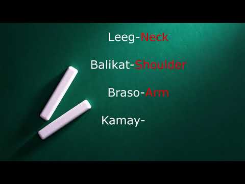Learn Filipino Language in 6 months- Iba't Ibang Bahagi ng Katawan ( Different Parts of the Body)