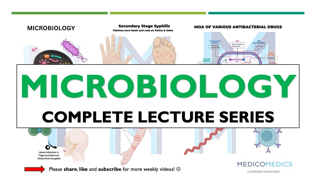 Microbiology Chapter 1 | What is Microbiology? History, Microbes & Infectious Disease