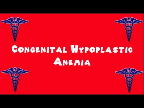 Pronounce Medical Words ― Congenital Hypoplastic Anemia