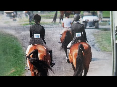 Short stride? Crooked horse? This may be the answer to your problems!