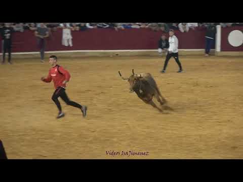 Zaragoza – Mañana vaquillera 15/10/2023 – Vaca Nº46/Presumida – “José ...