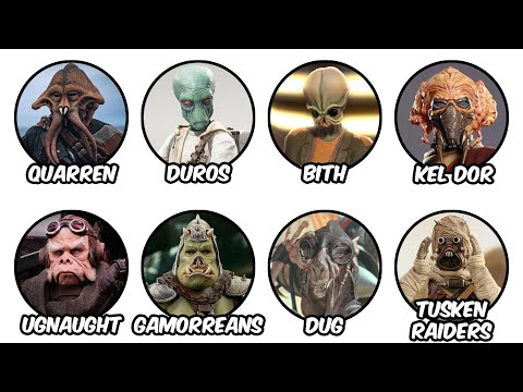 Every Star Wars Alien Species Explained In 24 Minutes Part 3
