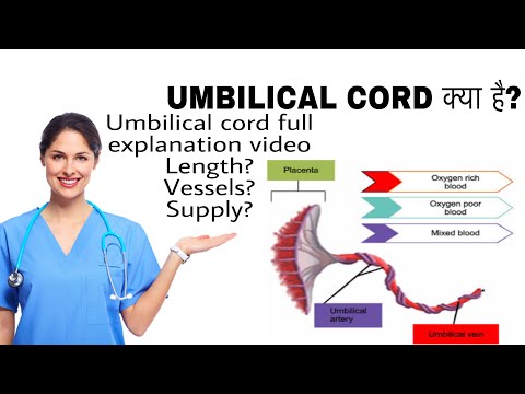WHAT IS UMBILICAL CORD ? UMBILICAL CORD FULL EXPLAINED HINDI I OBG FOR NURSING AND MEDICAL STUDENT