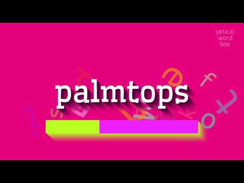 PALMTOPS - HOW TO SAY PALMTOPS?