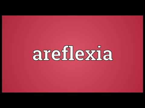 Areflexia Meaning