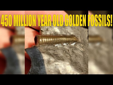 Collecting 450 million year old FOSSILS: Ancient squid and trilobites!