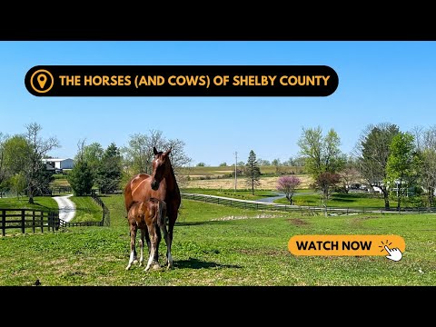 This Tiny Kentucky Amish Town Is A Perfect Day Trip Destination