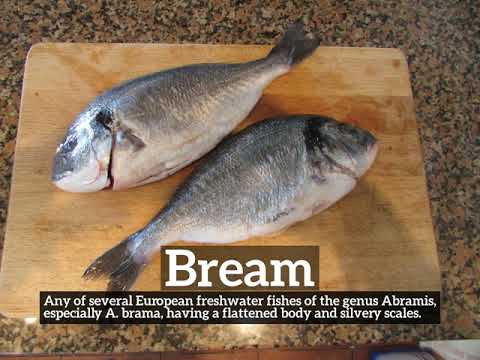What is Bream? | How to Say Bream in English? | How Does Bream Look?