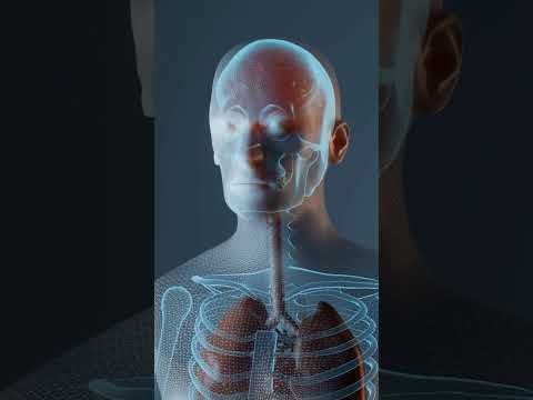 Introduction to respiratory system