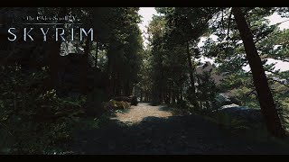 Skyrim Tree Mods Comparison at Skyrim Special Edition Nexus - Mods and ...