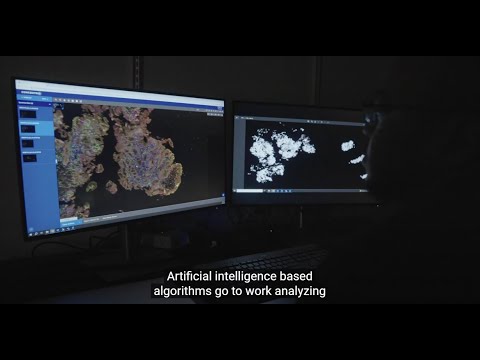 A Behind-the-Scenes Look at the TissueCypher Lab Process