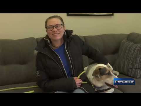 Animal shelters concerned about gifted pet returns