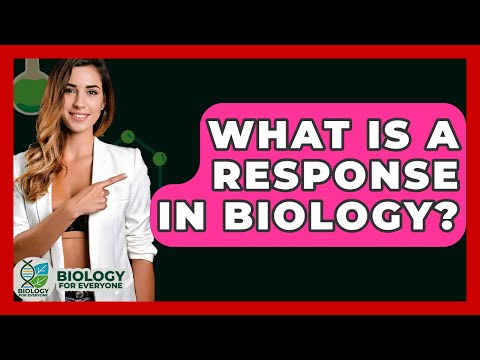What Is A Response In Biology? - Biology For Everyone