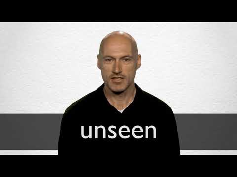 UNSEEN definition and meaning | Collins English Dictionary