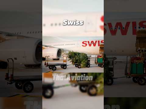Swiss airlines at Christmas 🎄 🎁🎅#aviation #plane #swiss #swissairlines #shorts #christmas #edit