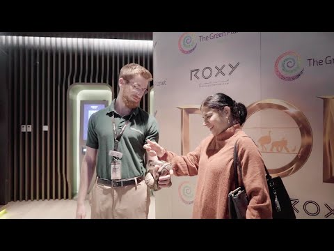 Dolittle - UAE Premiere at Roxy Cinemas