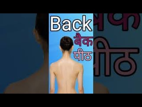 Back meaning in hindi with photo मीनिंग इन हिंदी फोटो के साथ उच्चारण करना सीखें