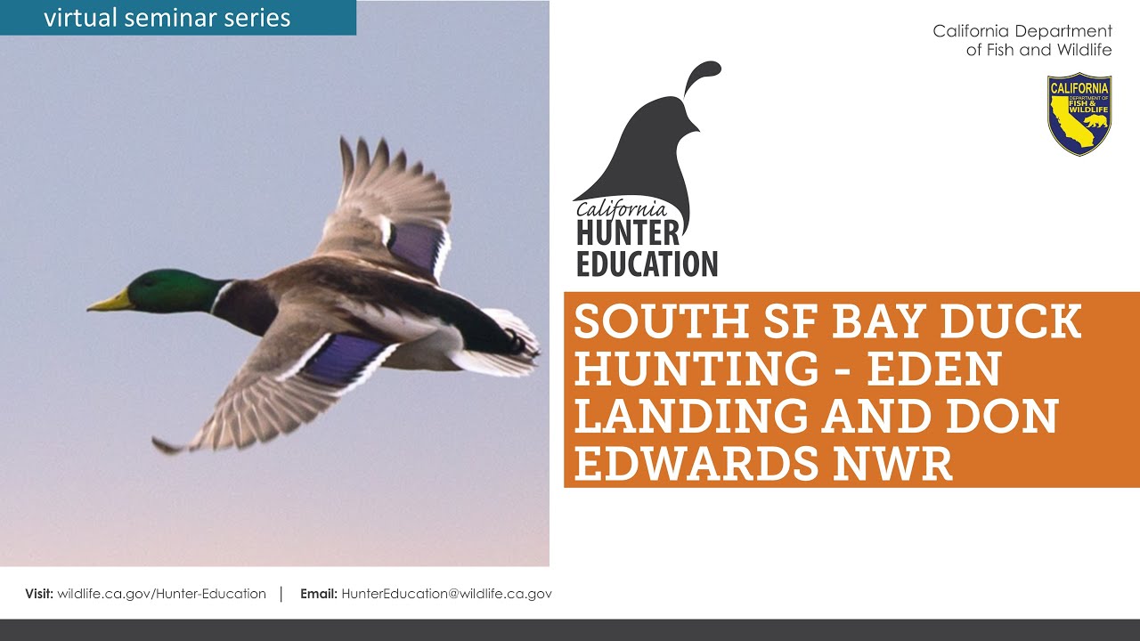 AHE 2021- Webinar #17- South SF Bay Duck Hunting- Eden Landing and Don Edwards NWR