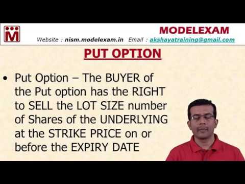 Put Option Explained with an Example in 2 minutes