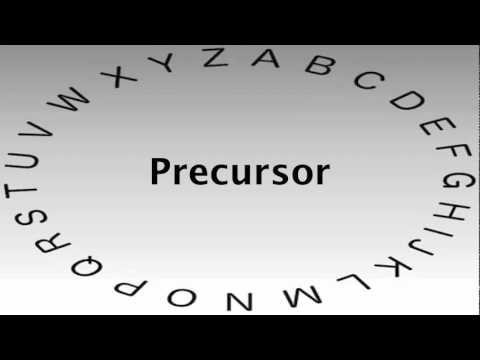 Spelling Bee Words and Definitions — Precursor