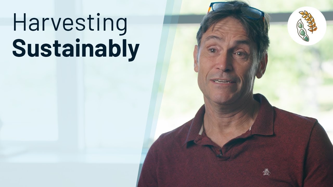 Optimizing Agriculture: Jerry Alford Introduces Legume-Cereal Intercropping