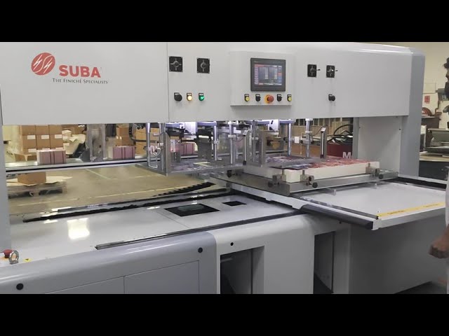 Blanking Machine - Stripping And Blanking Machine with Robotic Pickup ...