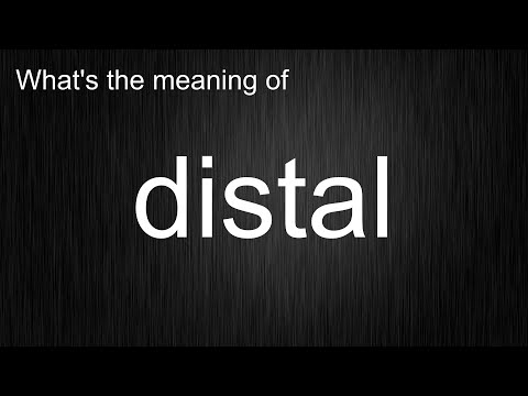 What's the meaning of "distal", How to pronounce distal?