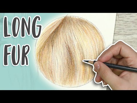 How To Draw LONG FUR | Colored Pencil Drawing Tutorial