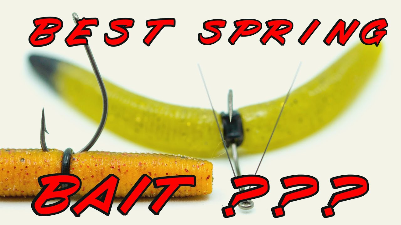 How To Fish A Senko: Everything You Need To Know!