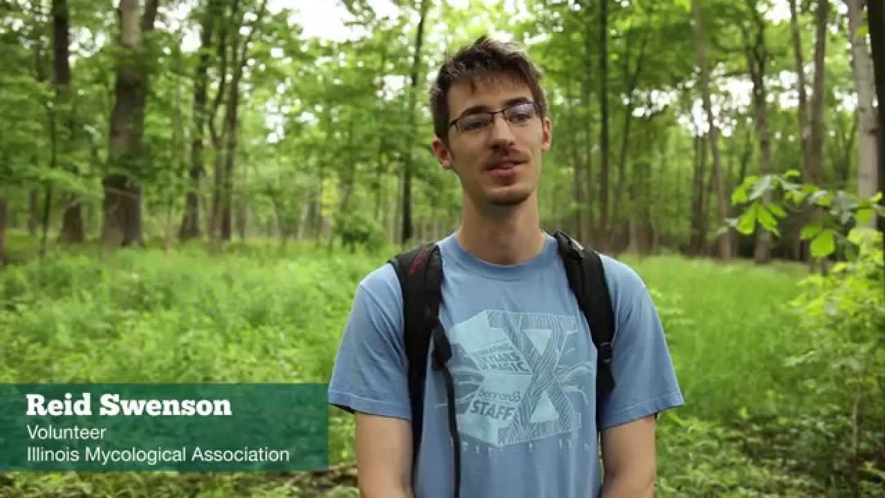 Citizen Science: Somme Woods Plot Study