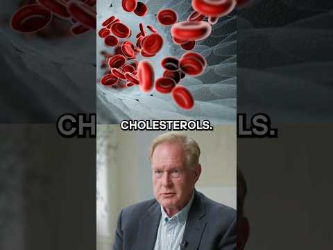 What Actually Causes High Cholesterol? | Dr. Robert Lustig