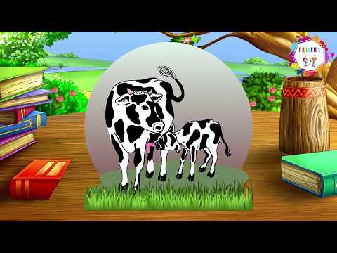 All about mammals for kids- kidlokids