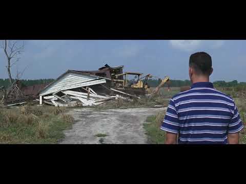 Ben MB - Forrest Gump - Jenny's Death