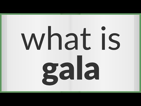 Gala | meaning of Gala