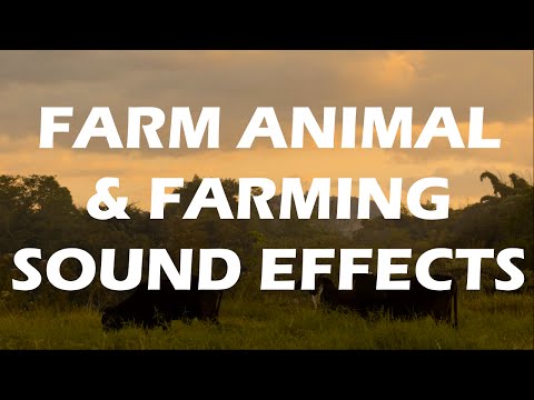 Animal Farm - Excellent Farm Animal Sound Effects & Farming sounds
