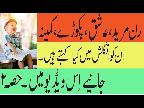 Meanings of Urdu Words in English //Common Urdu/Hindi Words in English part 2/ Funny Words