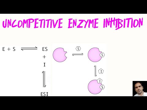 Uncompetitive enzyme Inhibition : Enzyme Inhibitions Biochemistry || Km and Vmax in UCI