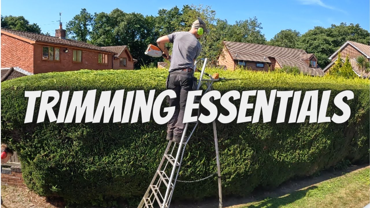 2 MUST-HAVES FOR HEDGE TRIMMING