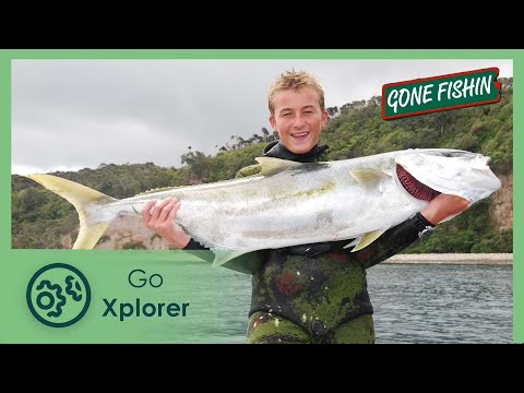 Gone Fishin Binge Watch S2 | Go Xplorer