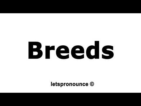 How to Pronounce Breeds